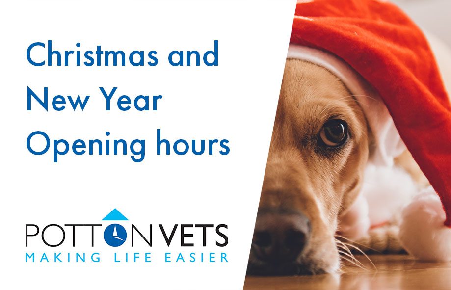 Independent Potton Vet Practice | Potton Vets | 01767 260007